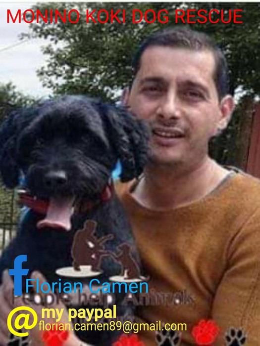 Monino Koki Dog Rescue