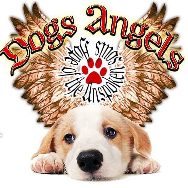 Dogs Angels