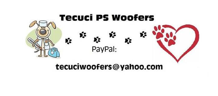 TECUCI PS WOOFERS