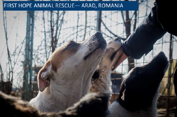 First Hope Animal Rescue