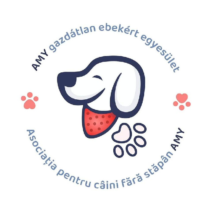 Asociatia pentru caini fara stapan AMY