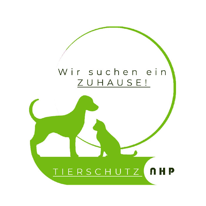 New Hope for Paws
